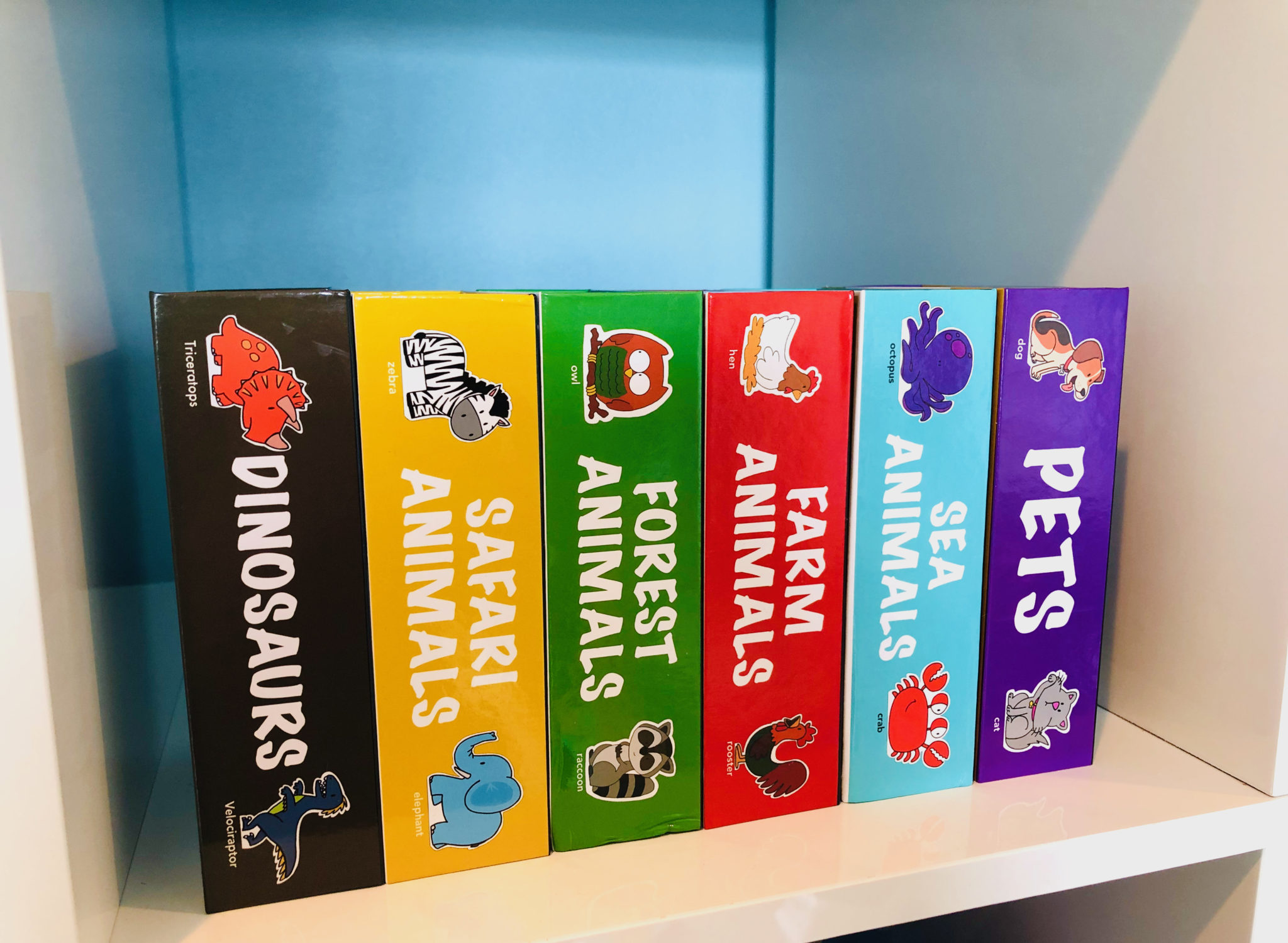 Vocabulary Box – Pets - STOP READ GO